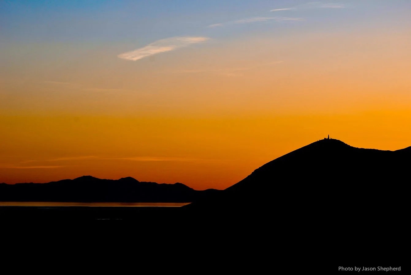 Gallery 3 — The Shepherd Lab