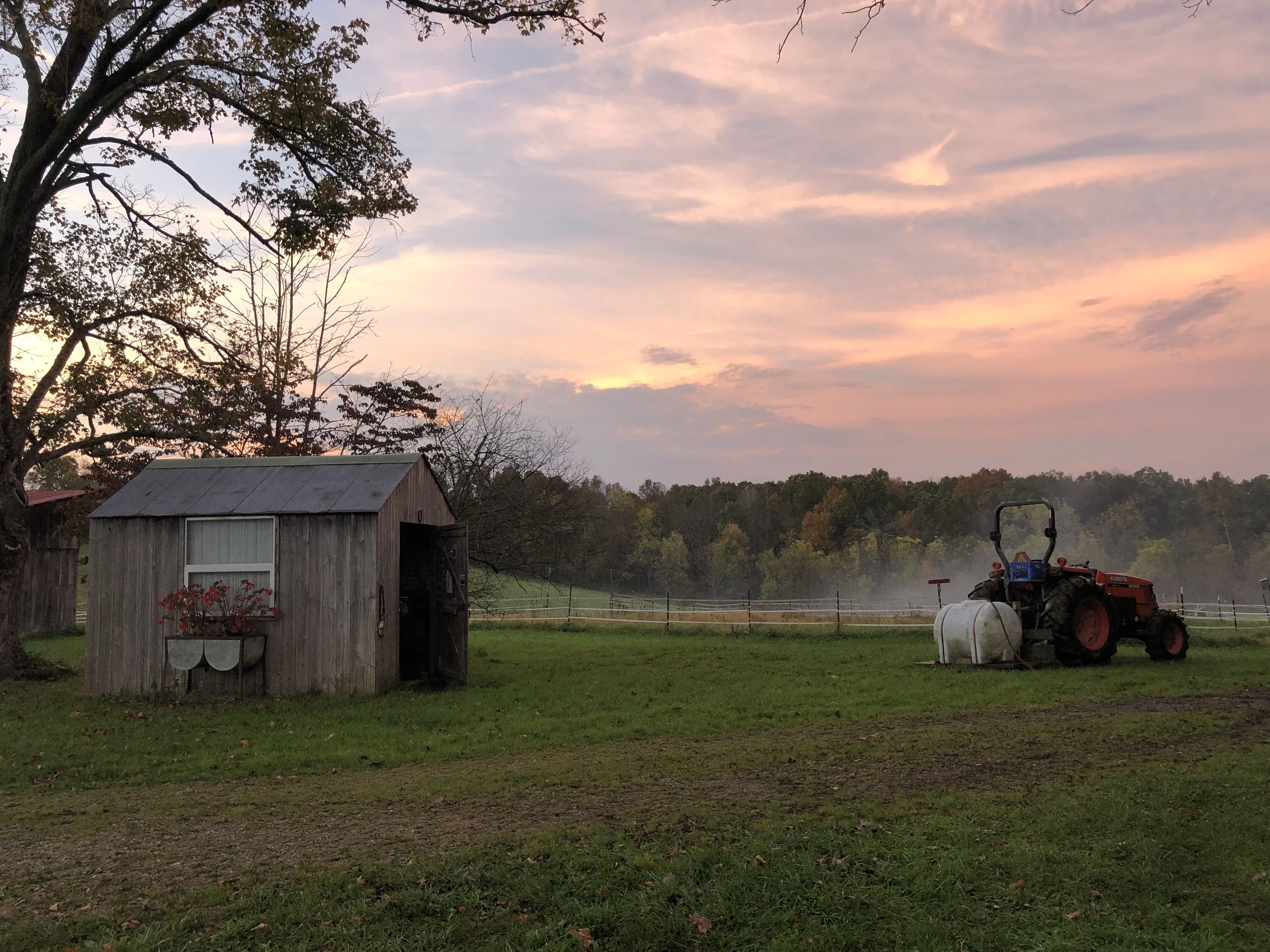 MoSo Farm