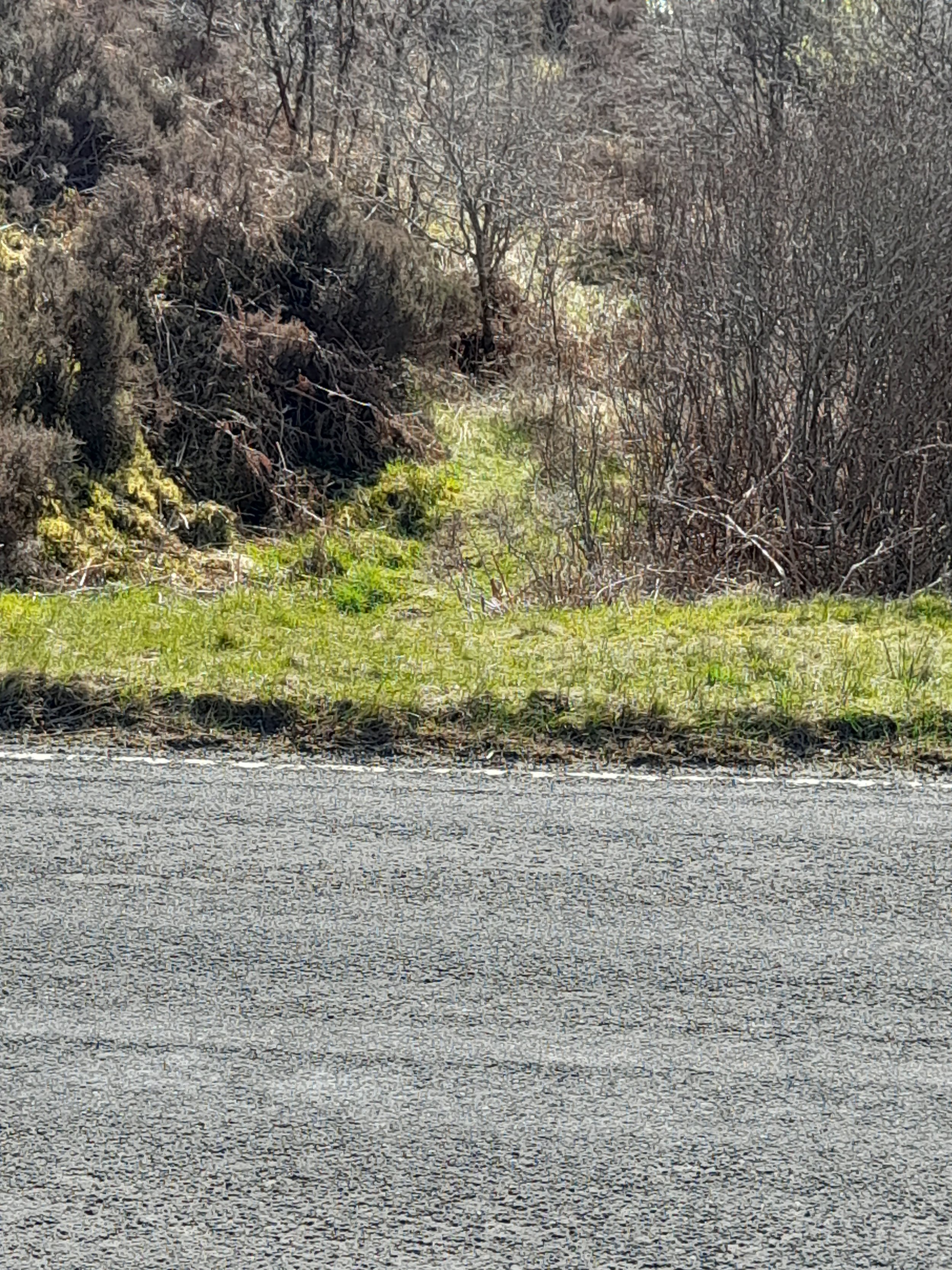 Favourite Walks - 2 — Loch Riddon Bothy | Argyll, Scotland