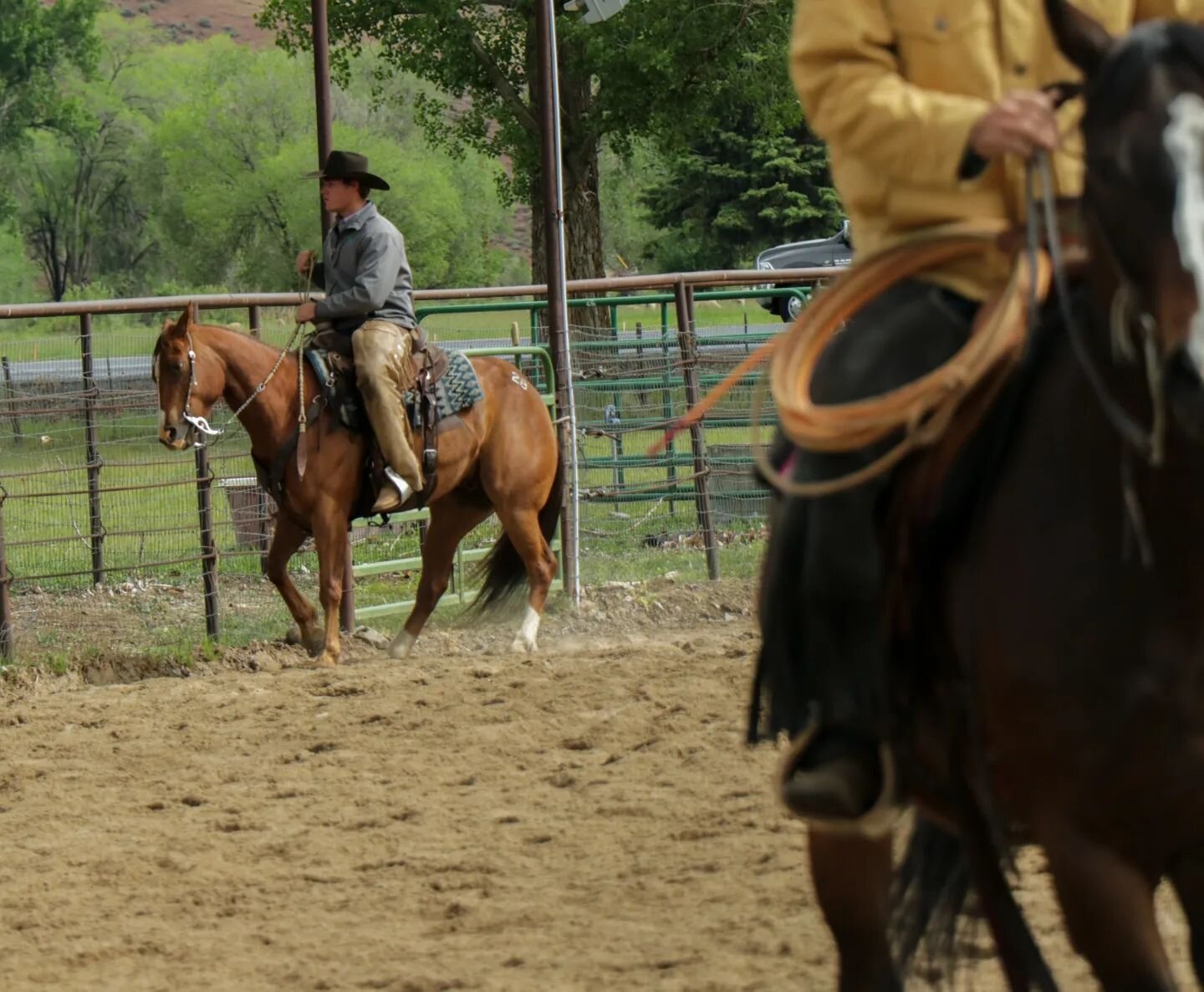 Ranchers Horse Sale