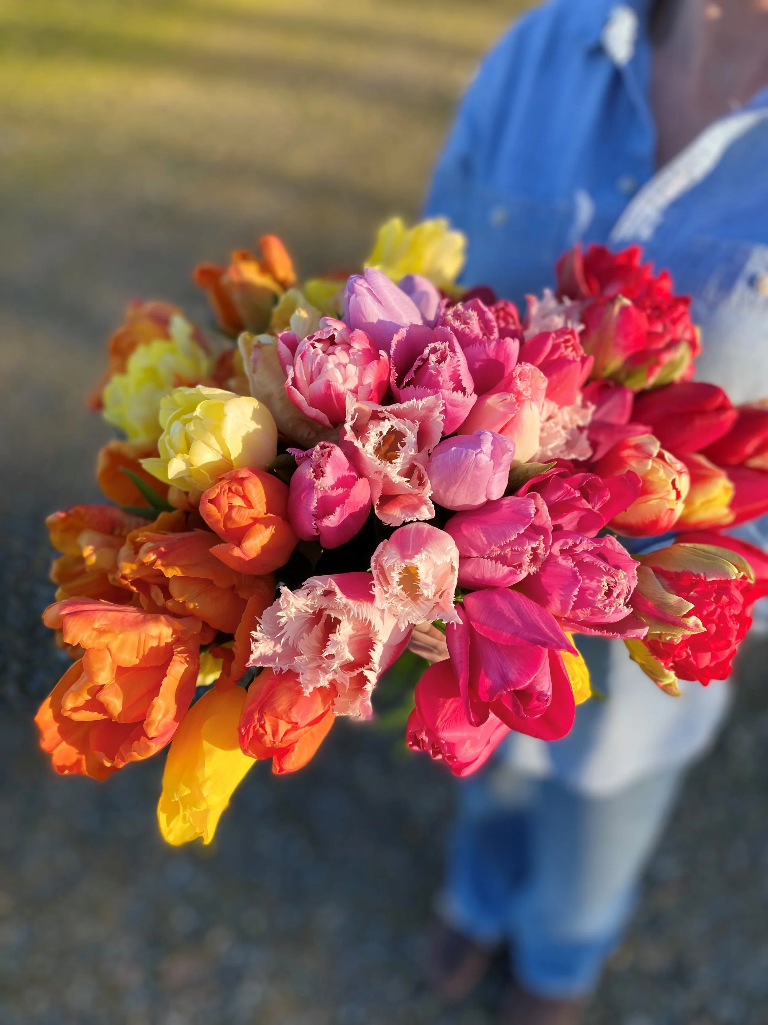 Shop — La Flor Farm