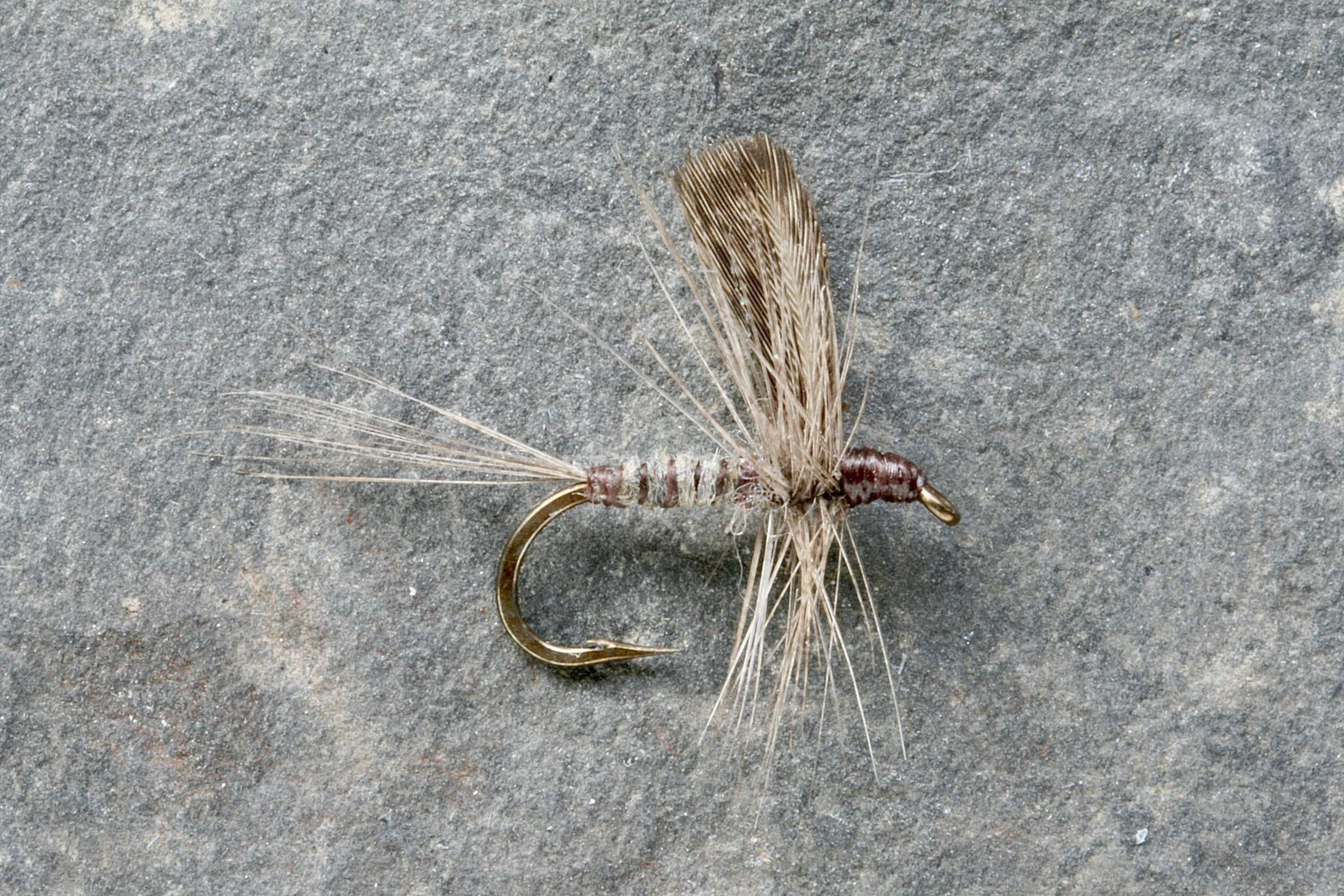 MAYFLIES > — SHOP — Alberta Premium Flies – Locally crafted in Canmore ...