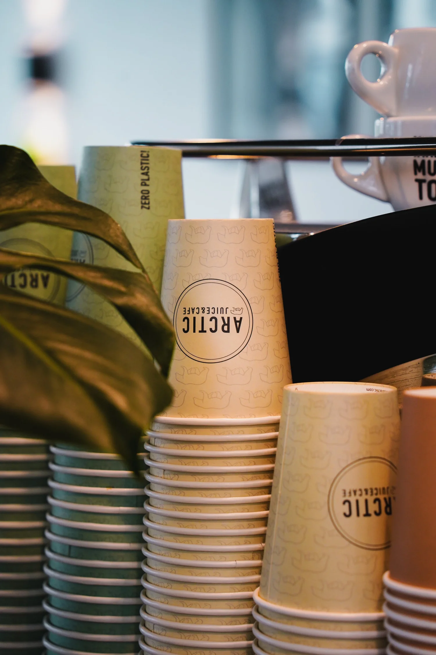 Arctic Juice & Cafe — General 2