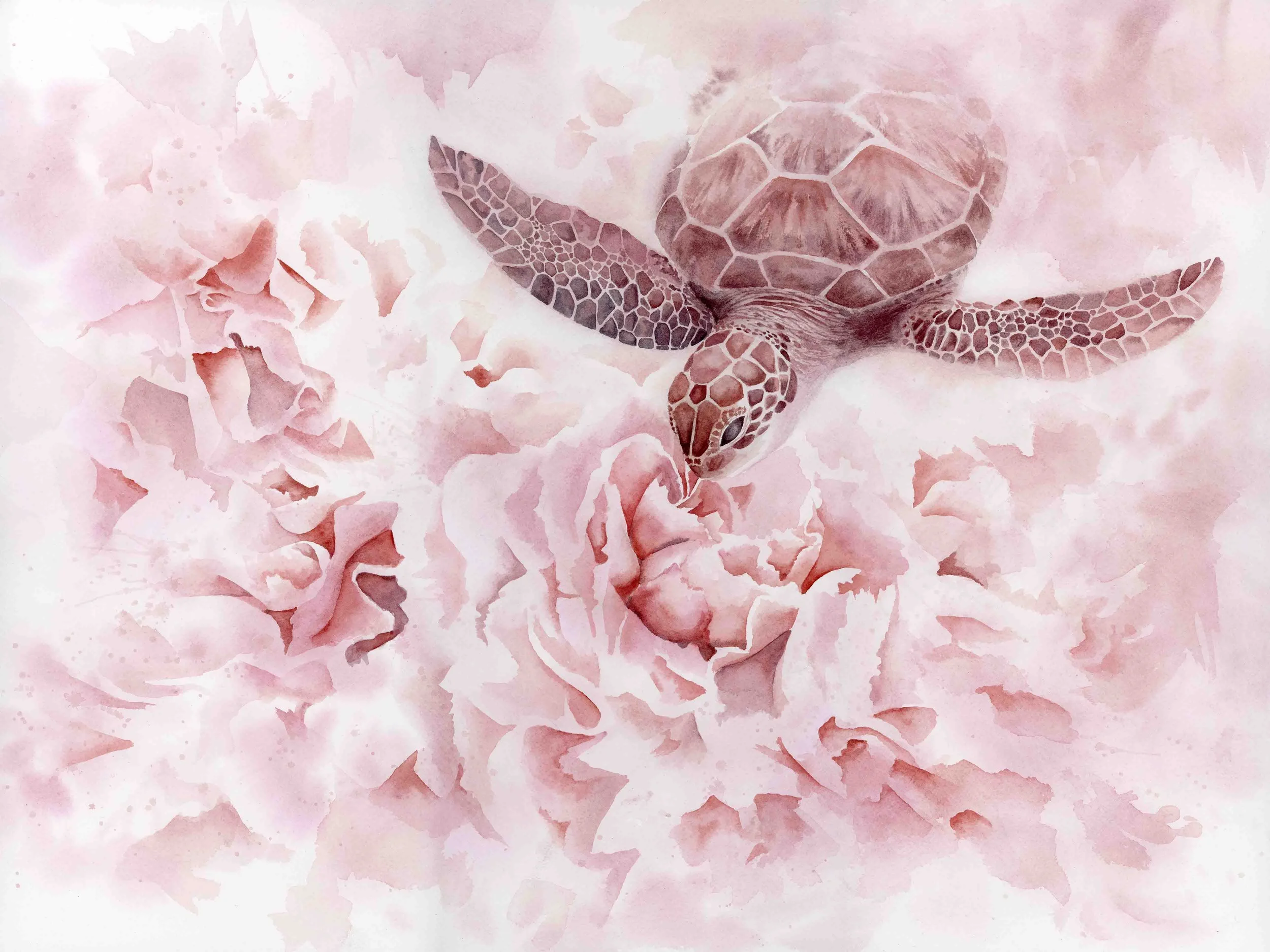 Art by Allison Dakin