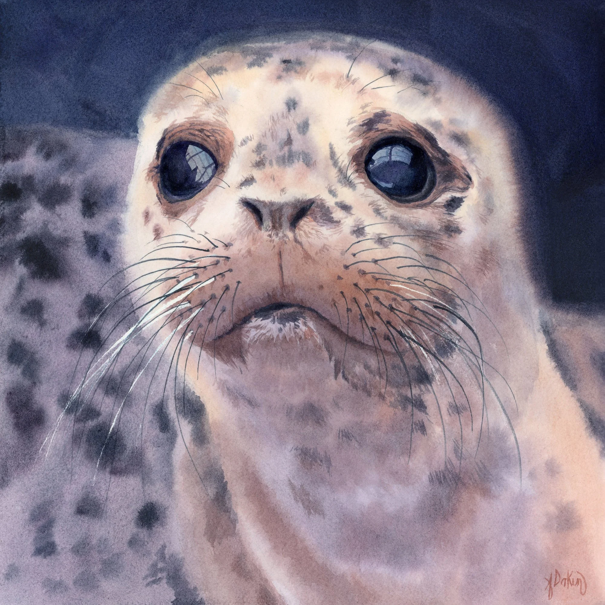 Art by Allison Dakin