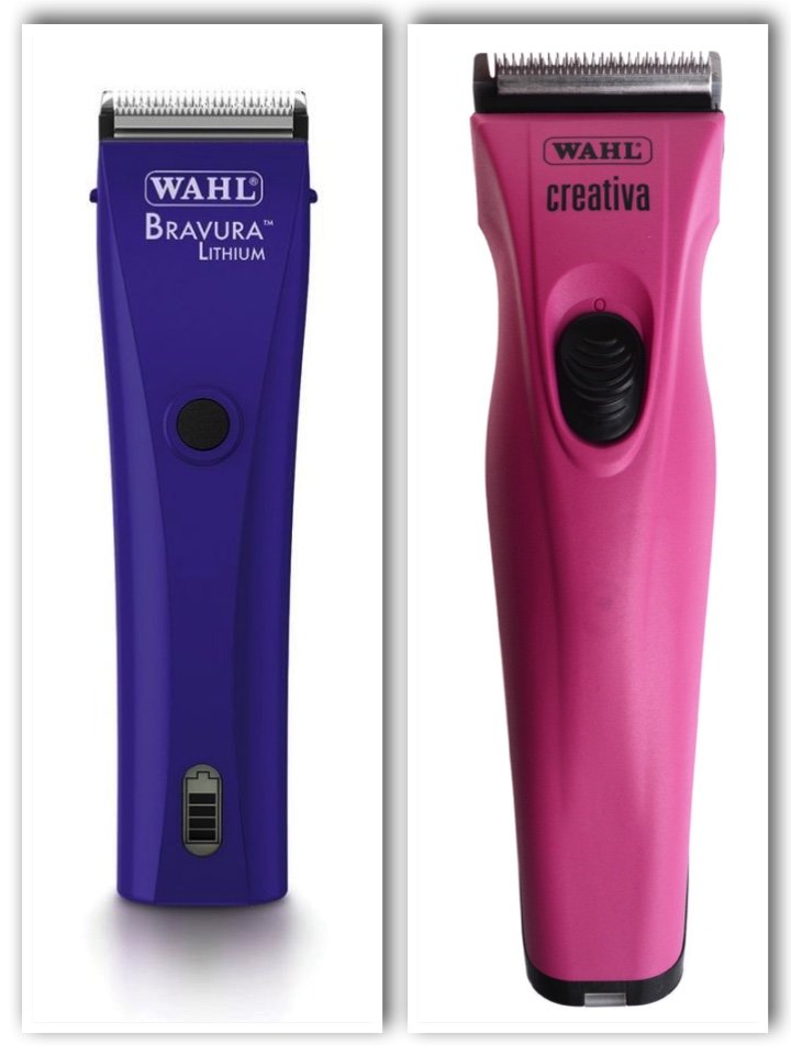 Clippers — Westley’s World