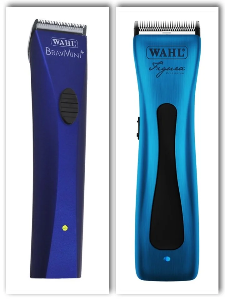 Clippers — Westley’s World