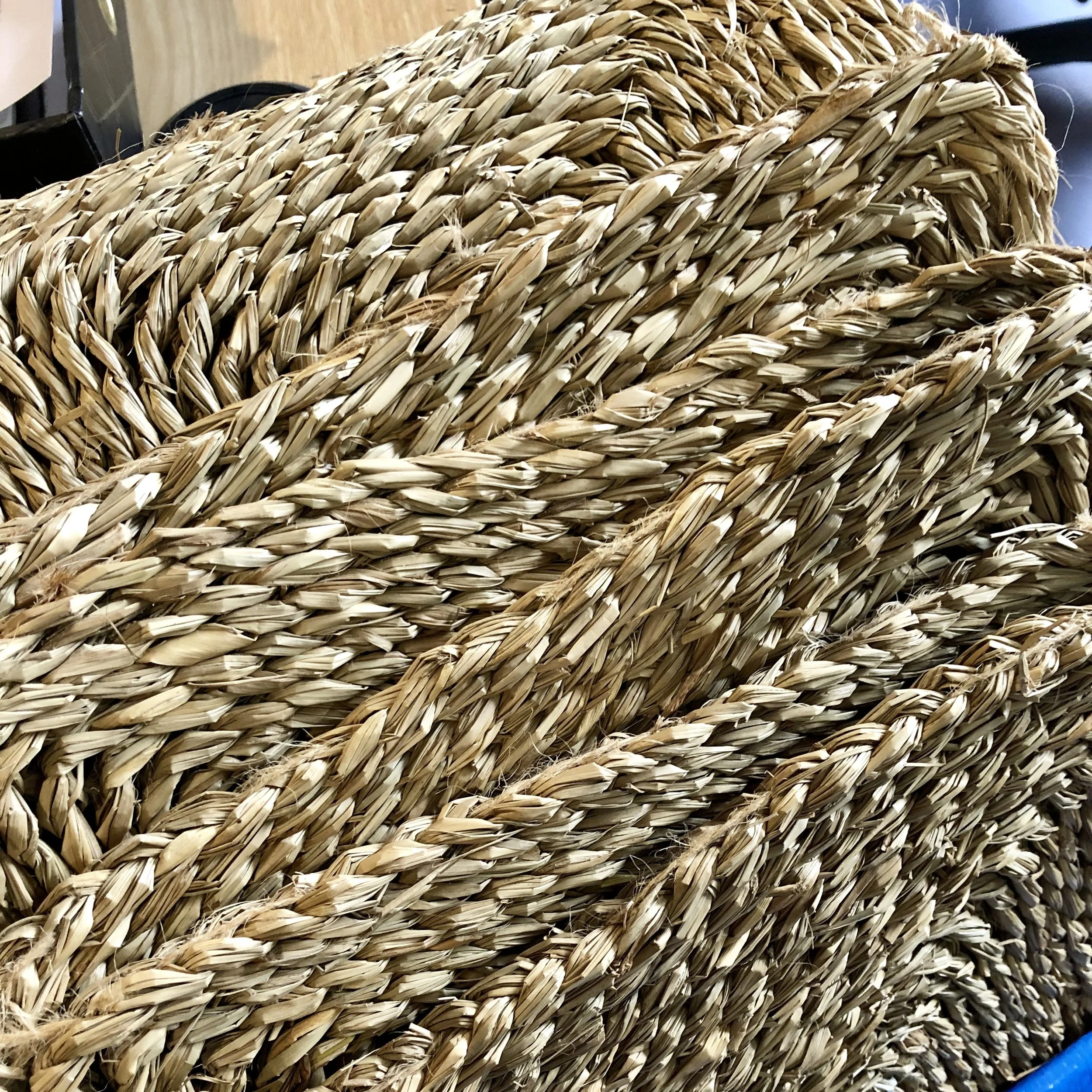Seagrass Rope — Westley’s World