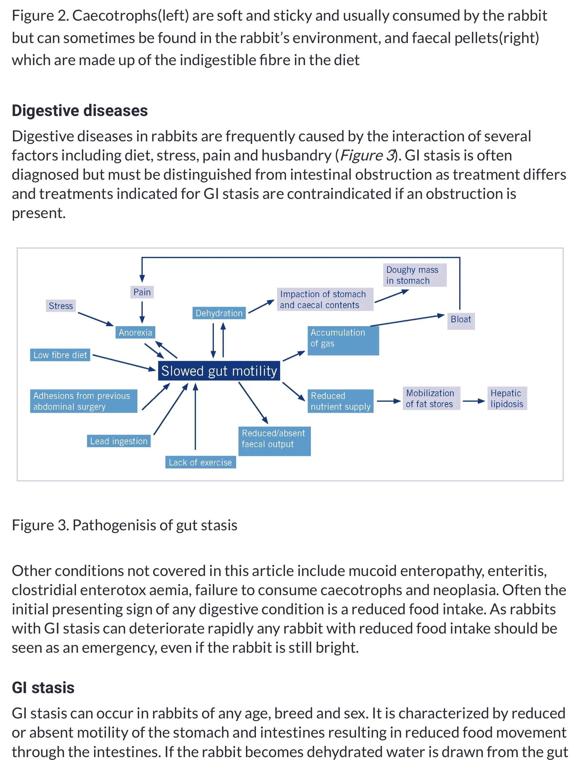 Gastrointestinal stasis and obstructive Ileus in the rabbit — Westley’s ...