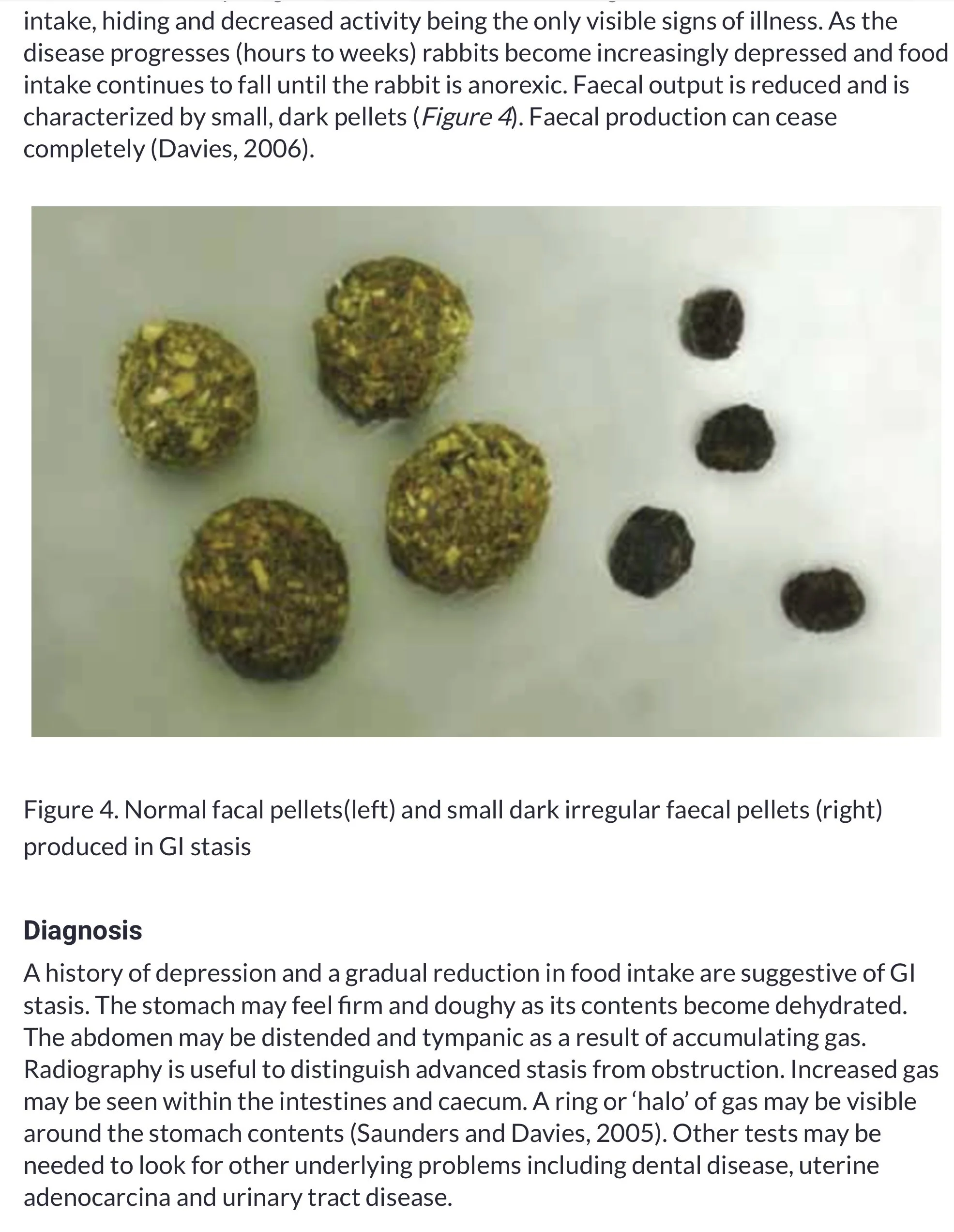 Gastrointestinal stasis and obstructive Ileus in the rabbit — Westley’s ...