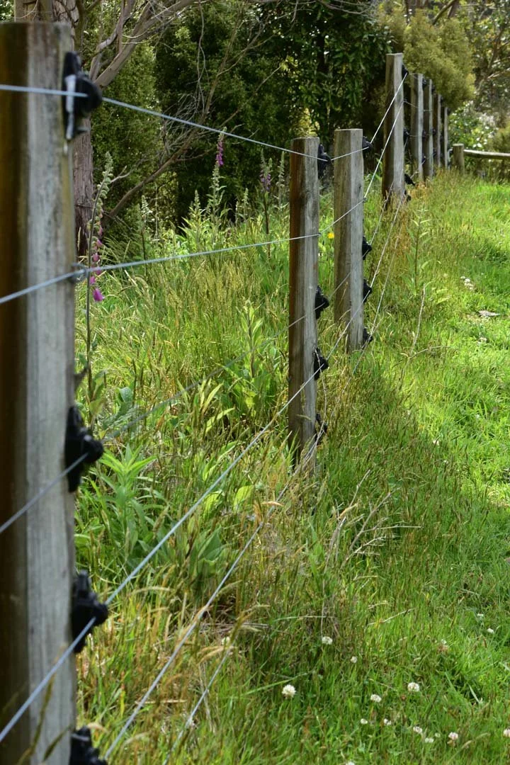 Mark Bicknell – Case Study — NZCashmere Growers