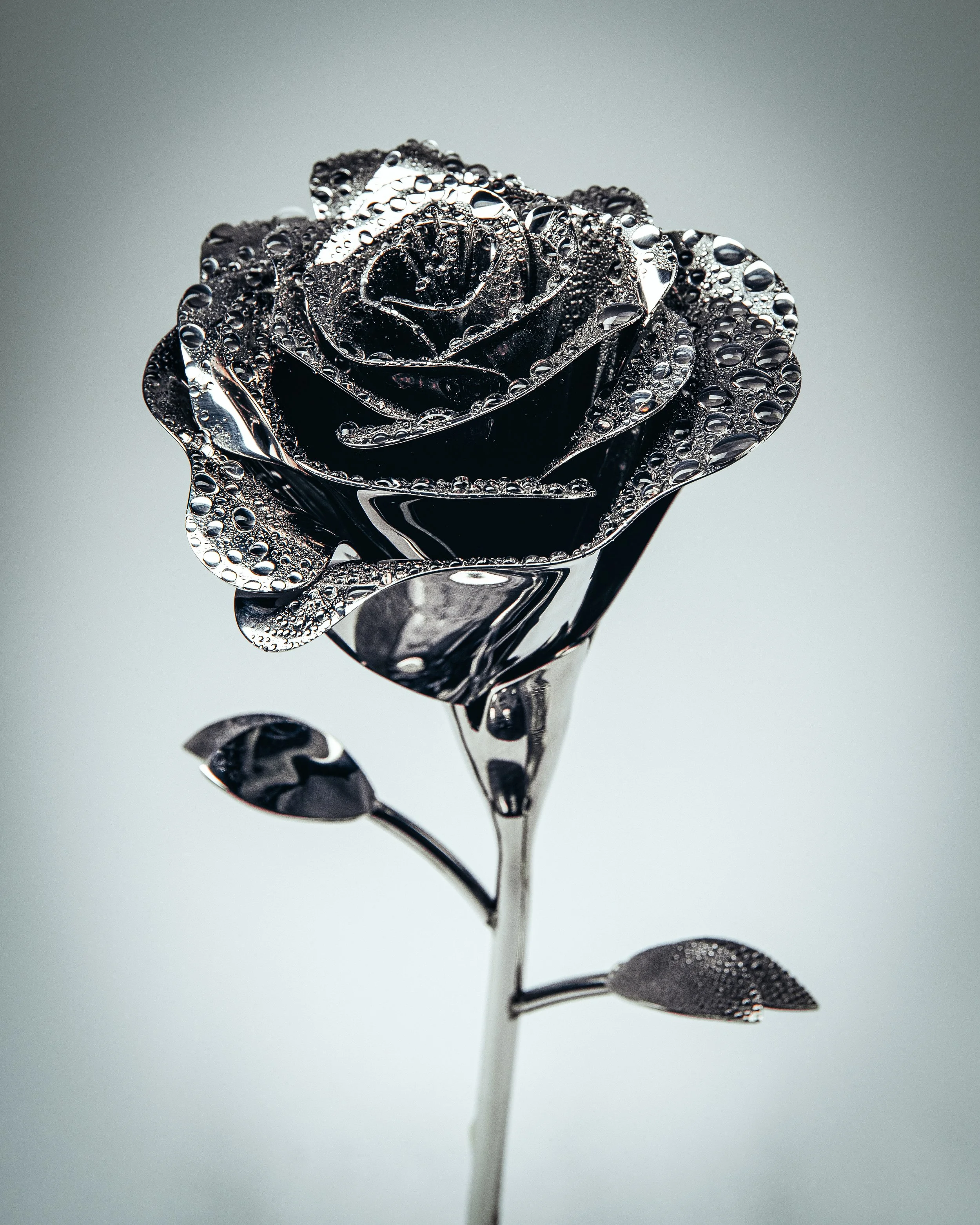 Blackstar Fabrication’s handcrafted Stainless steel rose — Stirlings ...