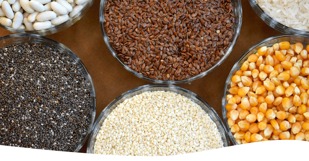 What Is Folic Acid Fortification — Rhitrition