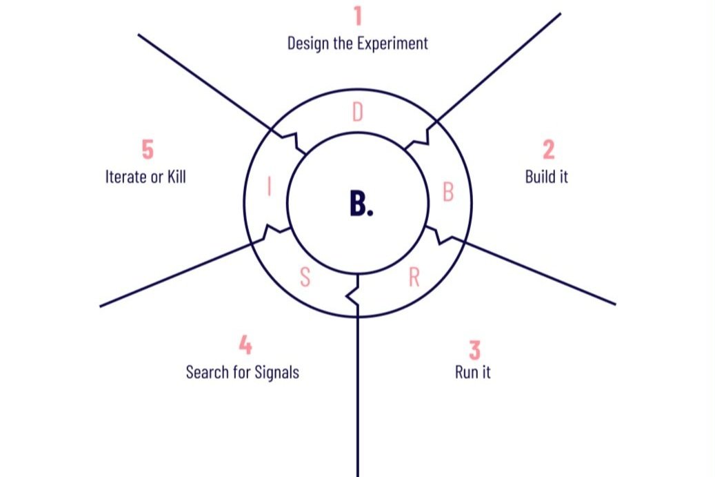 How to use Experiment Cards — Bobbie & Beastie.