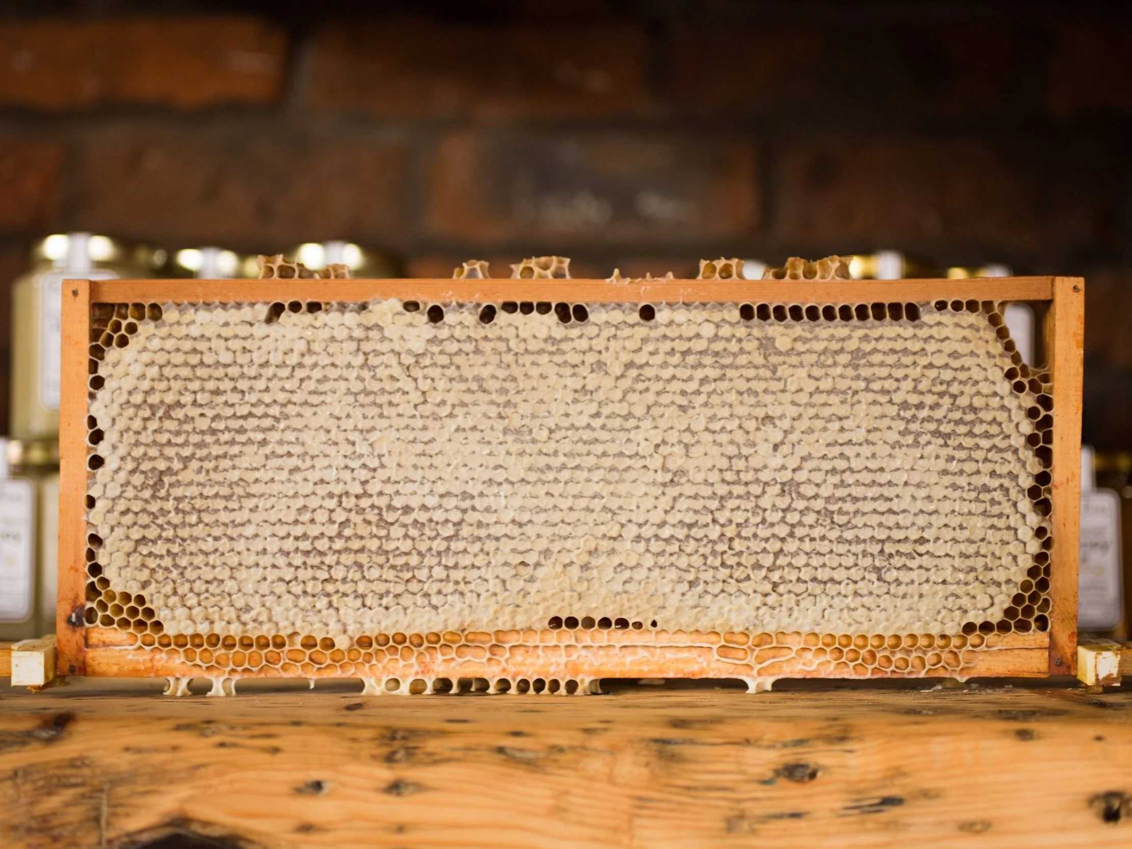 Berkshire Bees | UK Honey Bees