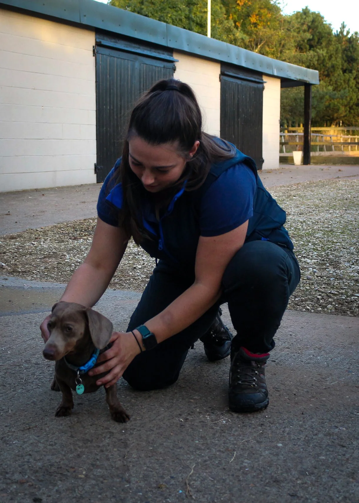 Canine — Lily Moffatt Vet Physiotherapy