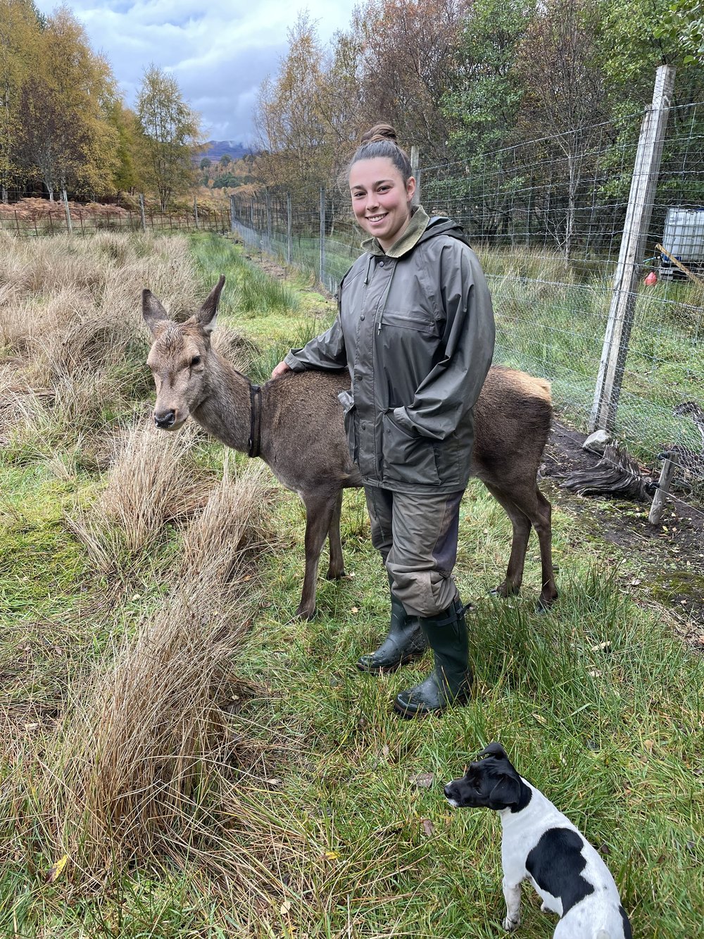Other animals — Lily Moffatt Vet Physiotherapy