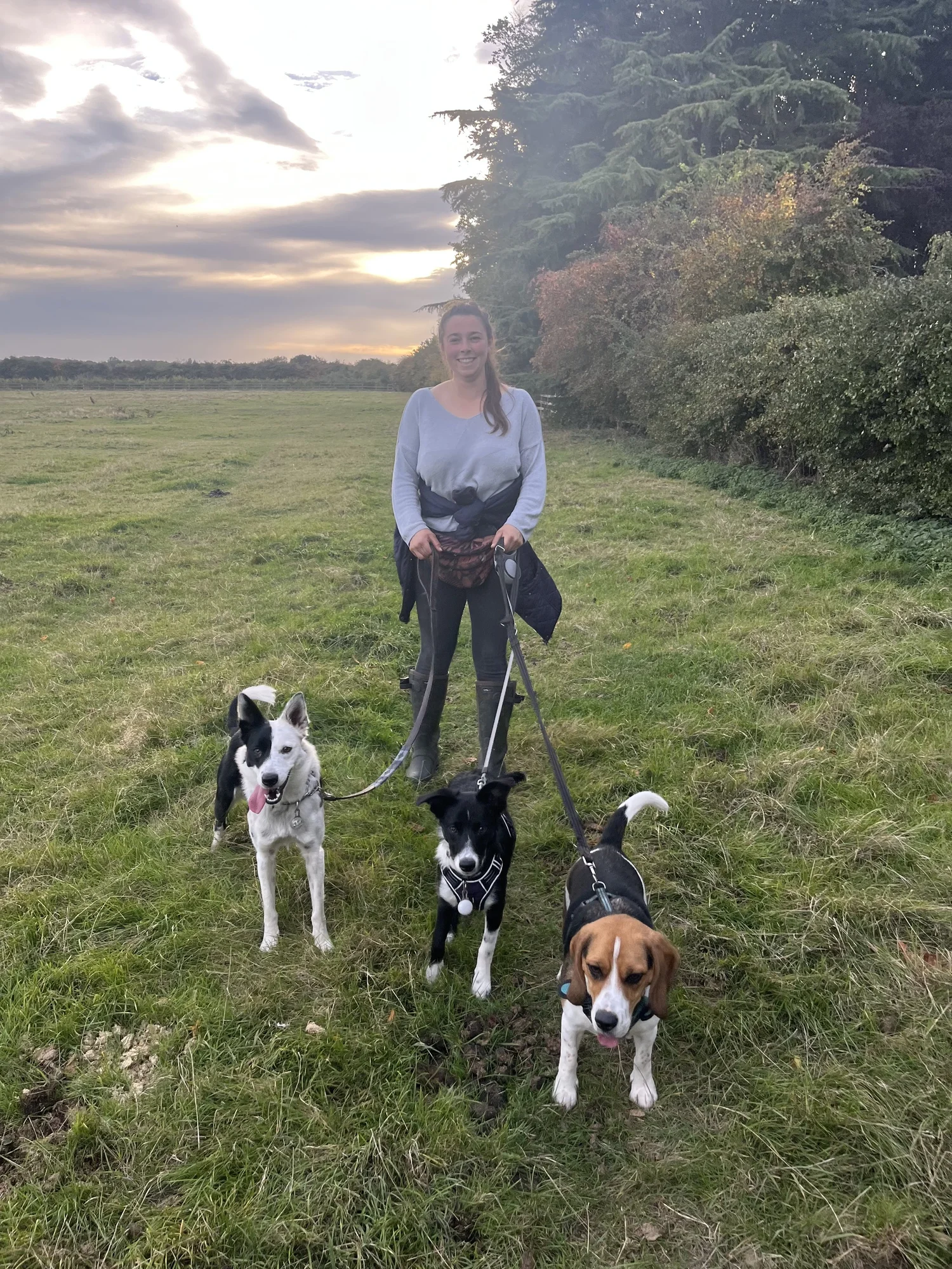 Other animals — Lily Moffatt Vet Physiotherapy