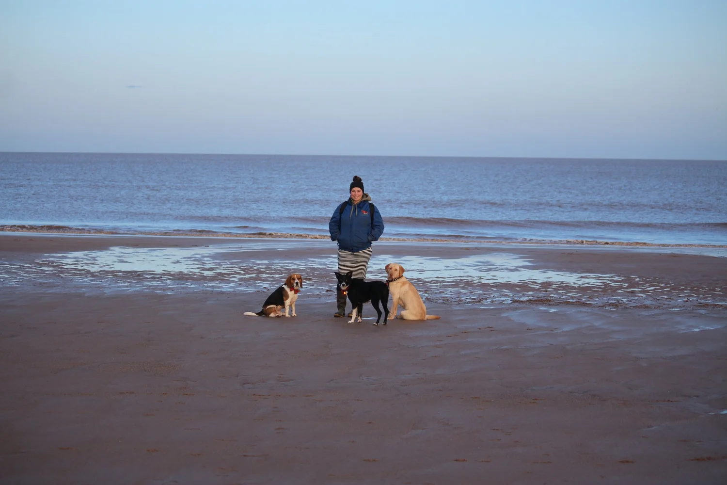 Lily Moffatt Vet Physiotherapy
