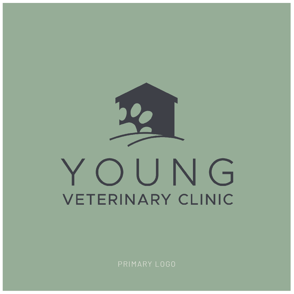 Young Vet Clinic | Brand and Web Design — Emmanate Creative