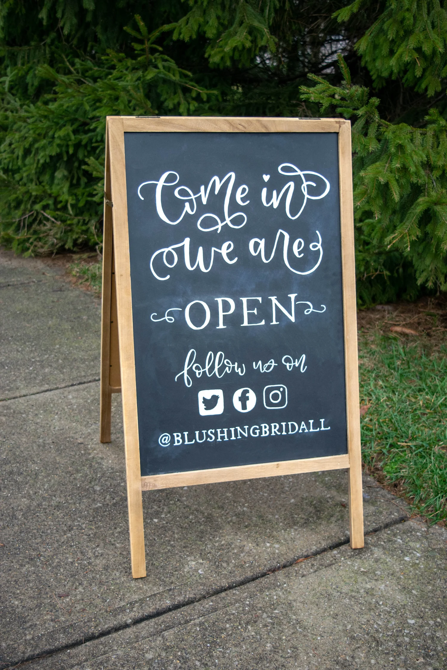 Signage & Windows — The Pemberley Creative