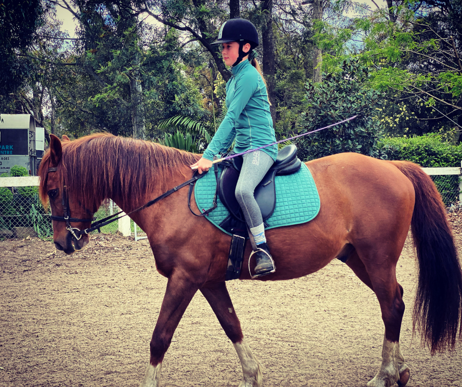 Children's Lesson Voucher — Endeavour Park Equestrian Centre