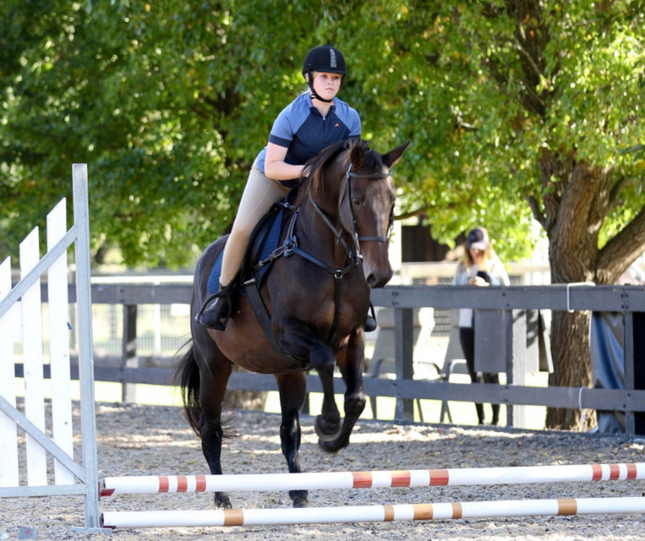 Services 1 — Endeavour Park Equestrian Centre