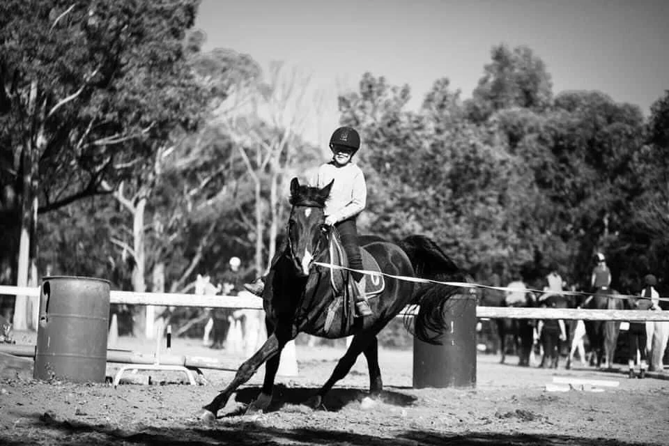Gallery 3 — Endeavour Park Equestrian Centre