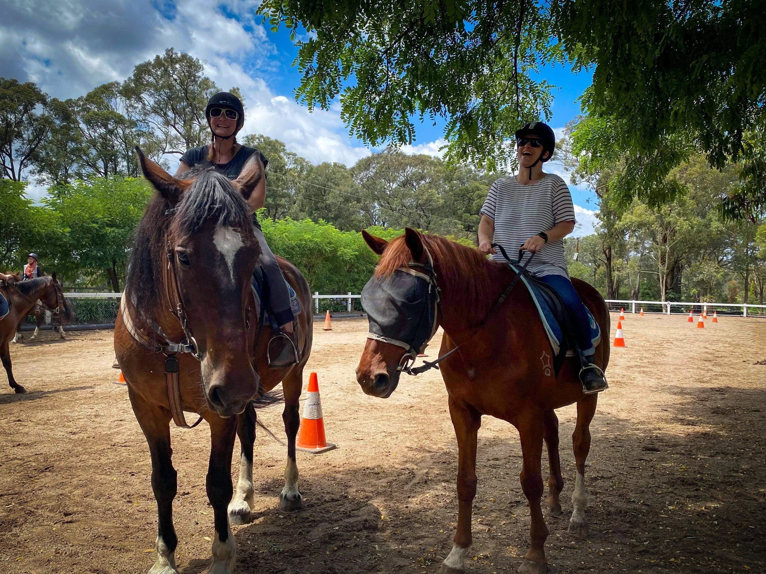 Gallery 3 — Endeavour Park Equestrian Centre
