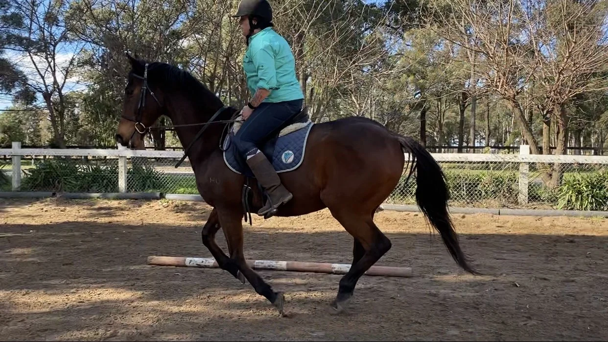 Gallery 3 — Endeavour Park Equestrian Centre