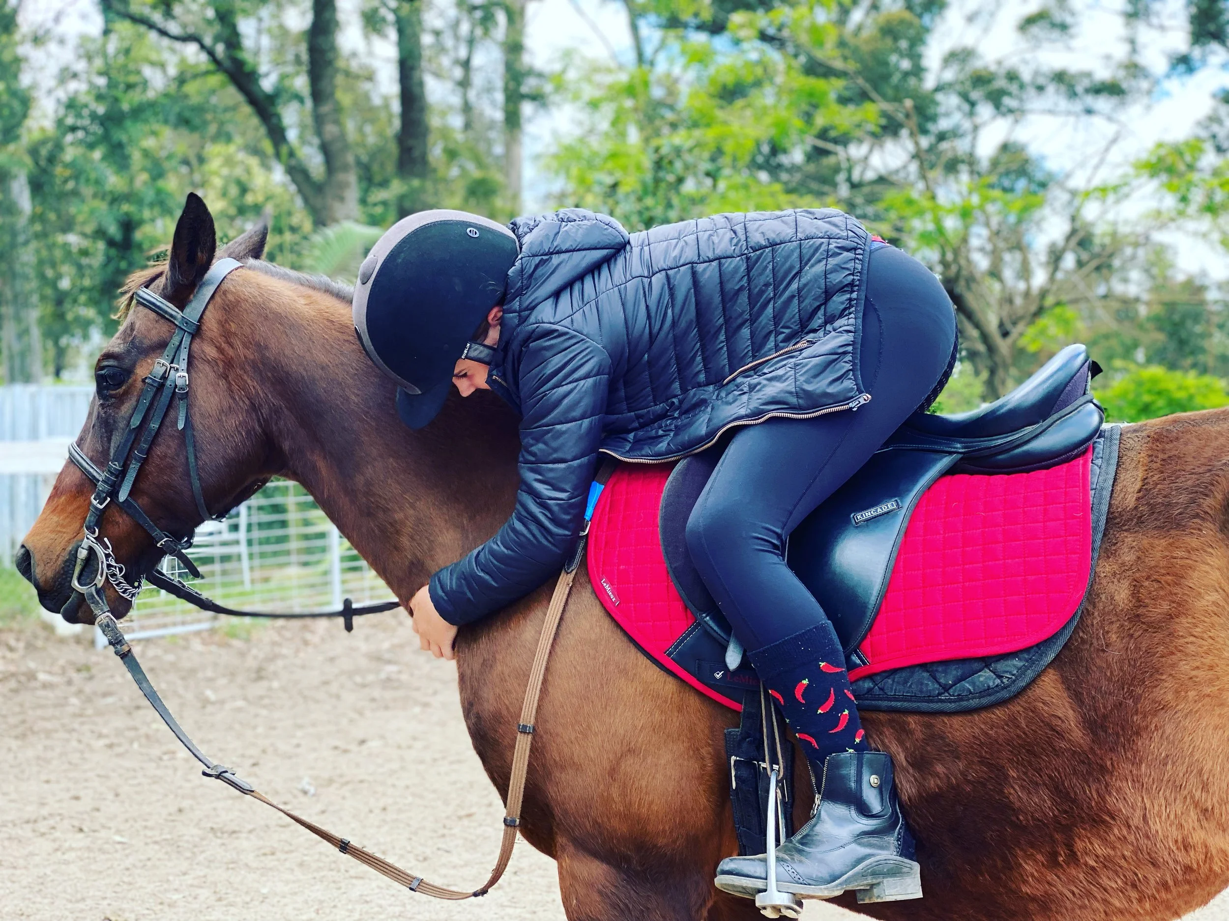 Gallery 3 — Endeavour Park Equestrian Centre