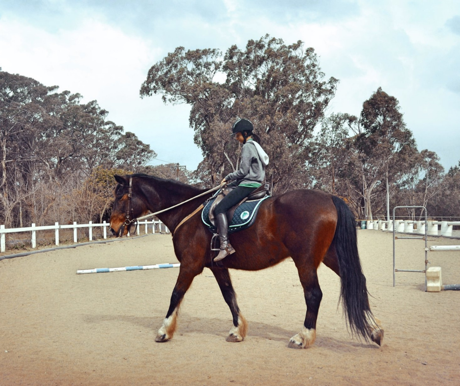 Lesson Prices — Endeavour Park Equestrian Centre