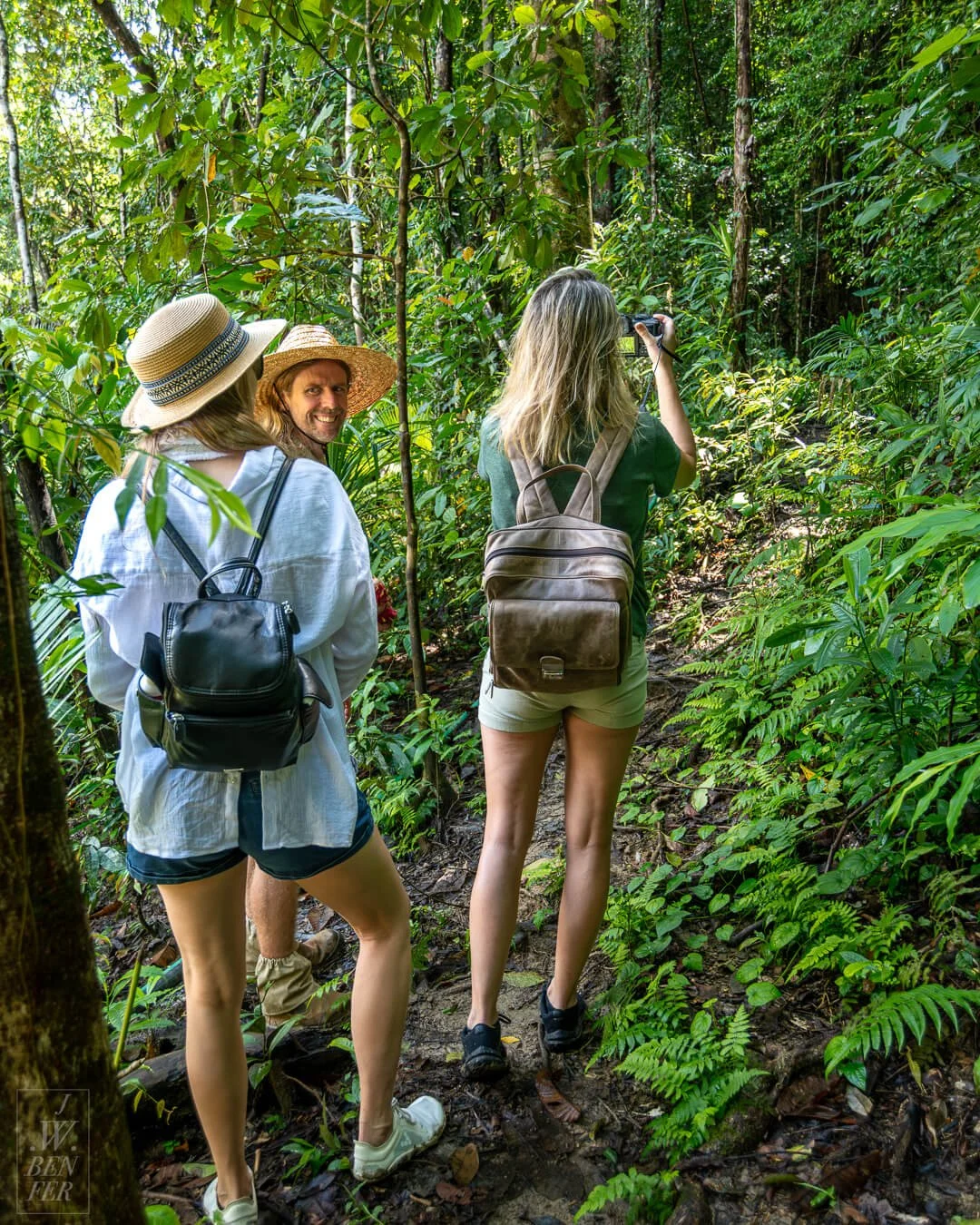 Daintree Experience — Beauty Falls half Day Tour