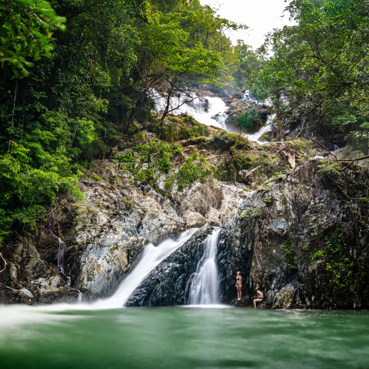Daintree Rainforest Walk to a Secret Waterfall