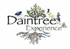 Daintree Rainforest Tours - Rainforest Walk, Daintree Hike & Waterfall Swim