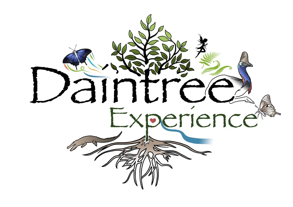 Daintree Rainforest Walk to a Secret Waterfall