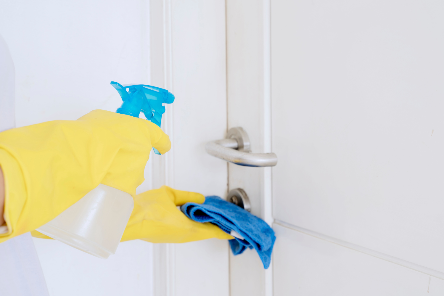 Premium Clean - Book Your House Cleaning Today!