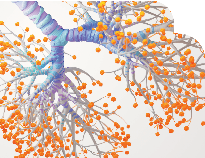 Current Studies — Red Maple Trials