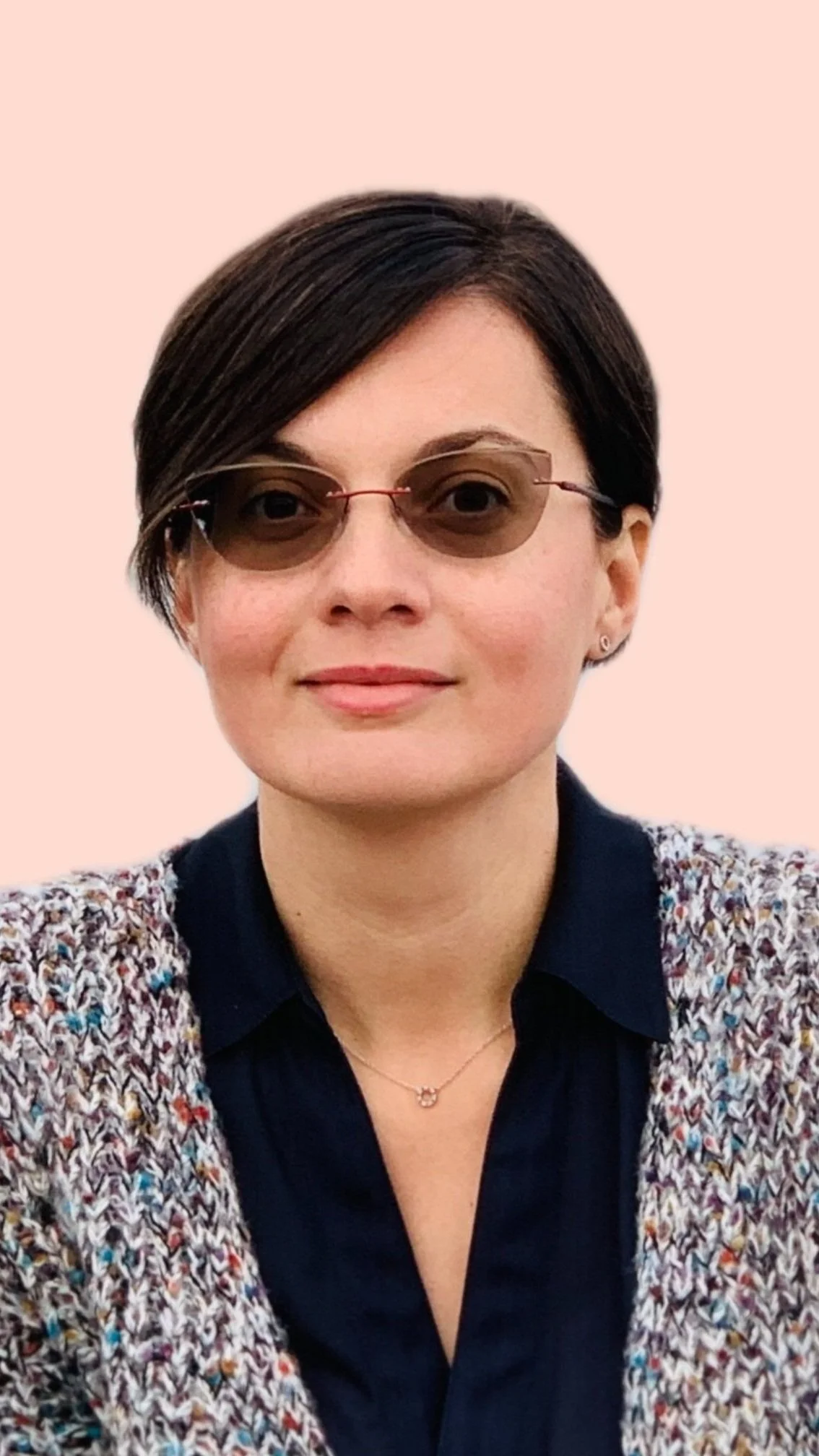 Our Team — Romanovsky Law LLP: New York Immigration Law Firm