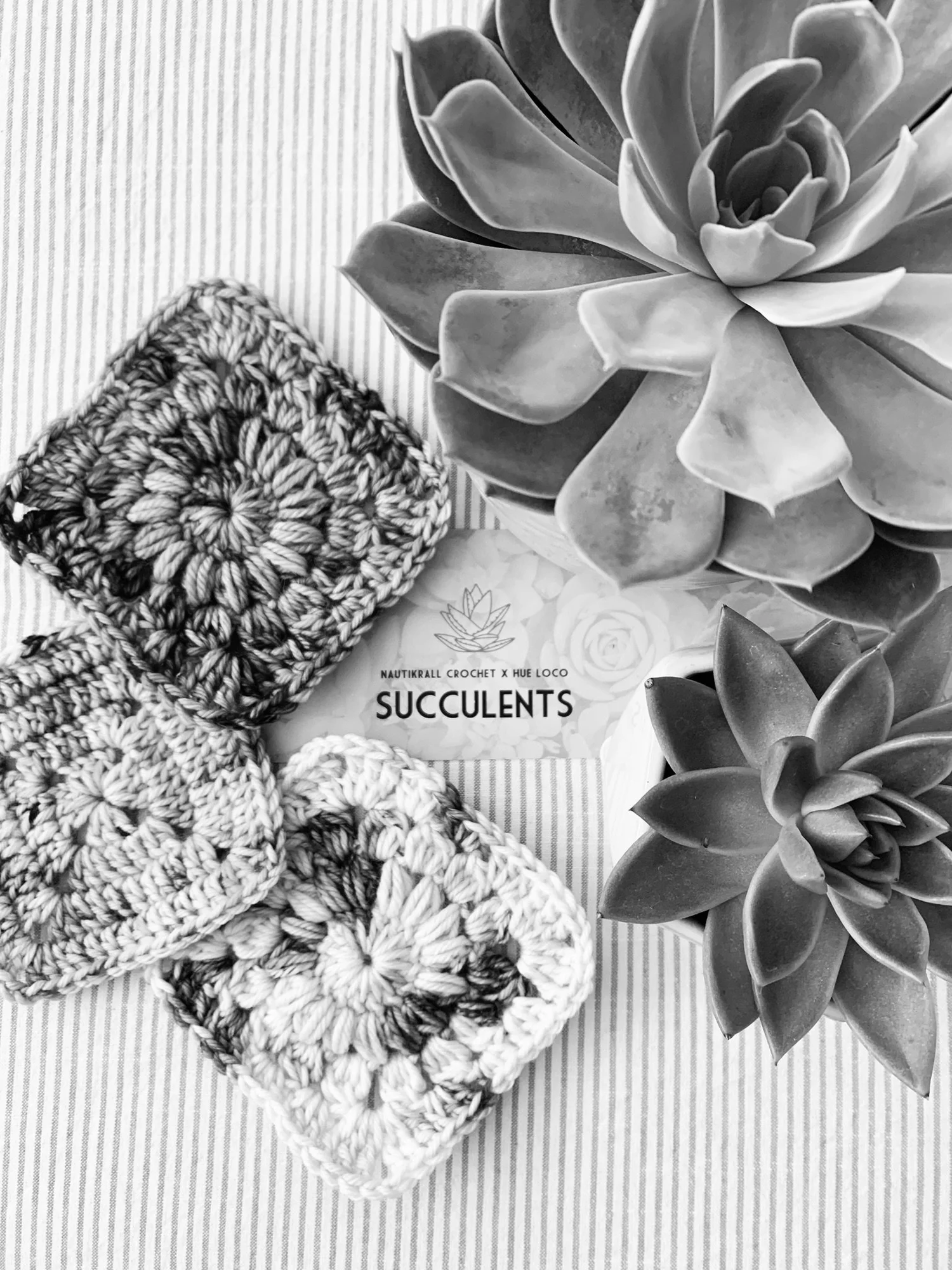 NautiKrall Crochet x Hue Loco Succulents 2025 Blanket CAL — NautiKrall ...