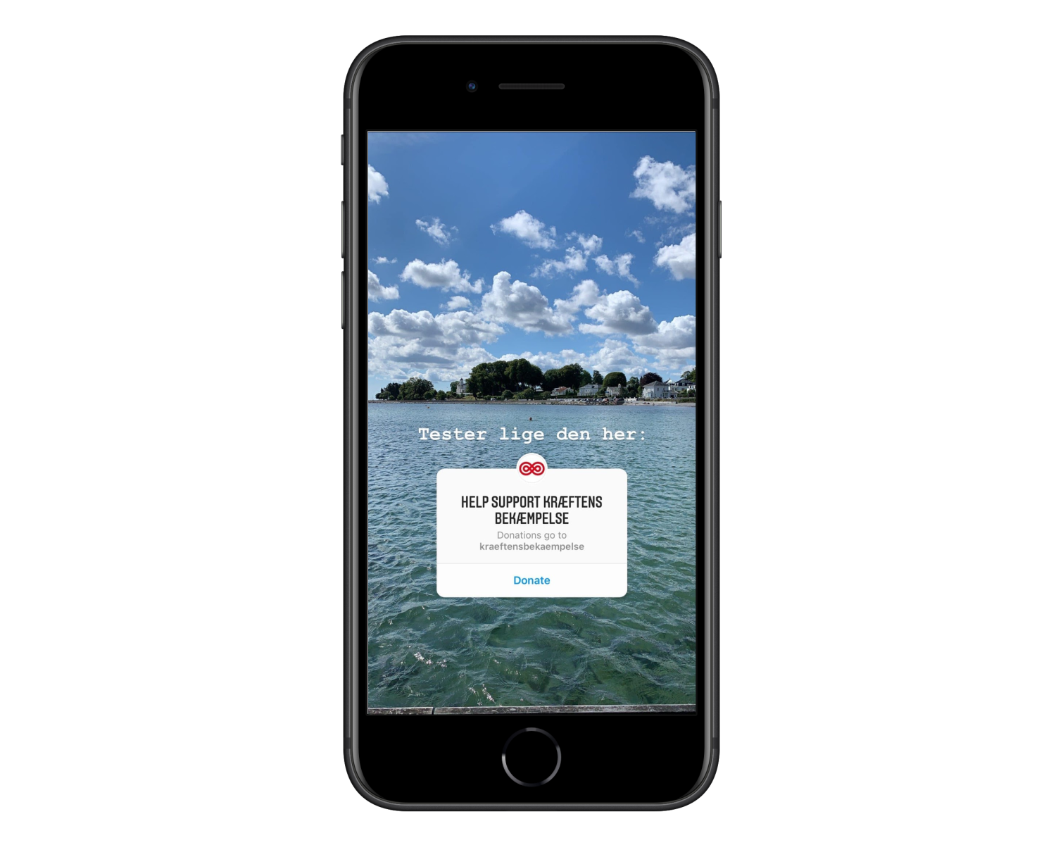 Ni trends hos NGO’er og medlems-organisationer i 2021 — ChristianSophus.dk