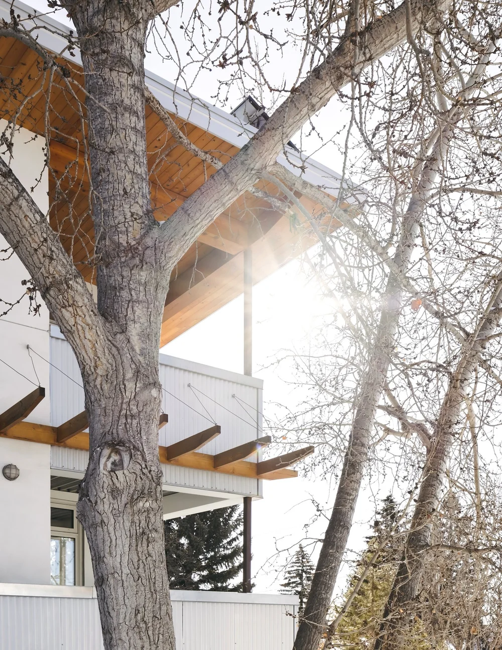 Loop House — Arch House