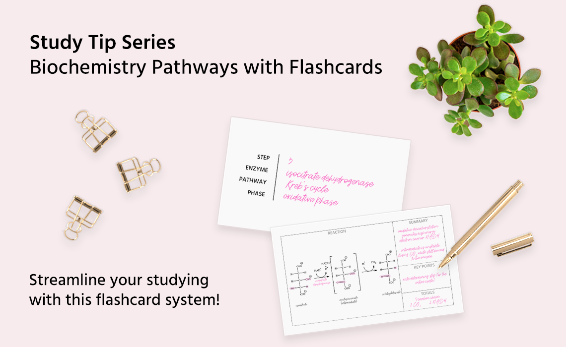 Biochemistry Pathways