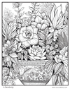 Coloring Pages — Succulentry