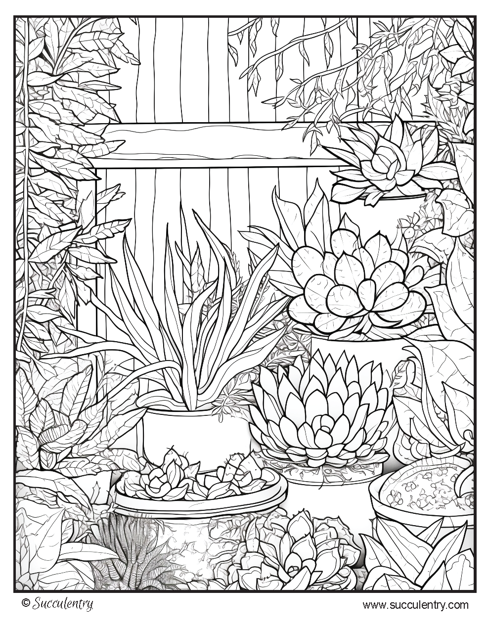 Coloring Pages — Succulentry