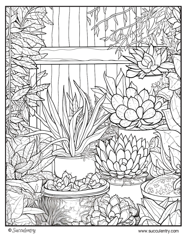 Coloring Pages — Succulentry