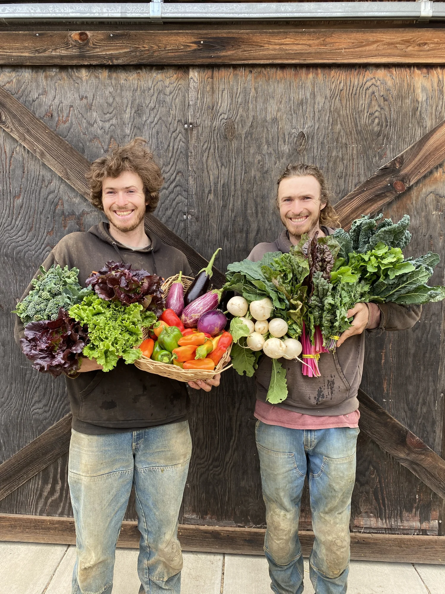 Farmboy Organics
