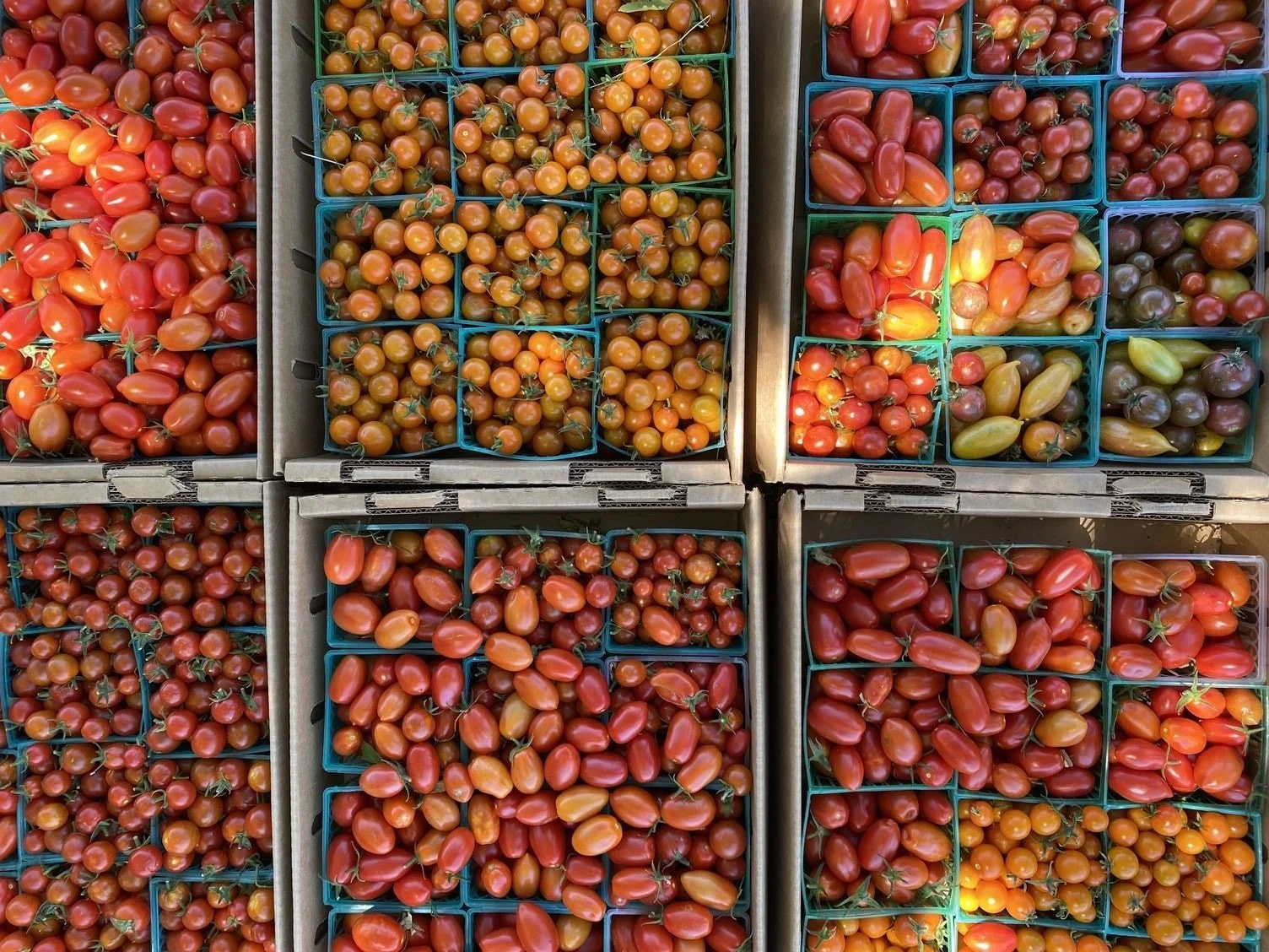 Farmboy Organics