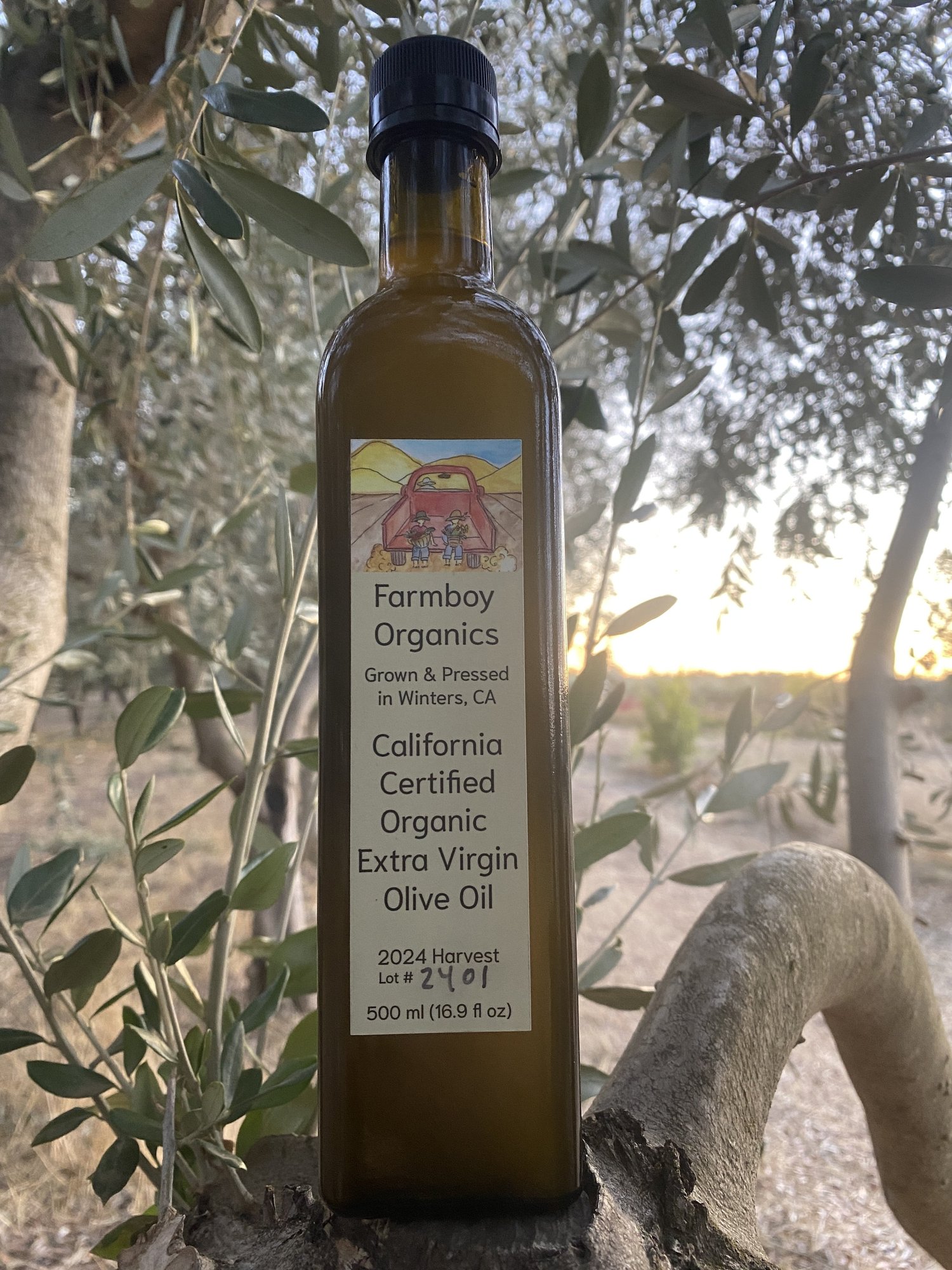 Olive Oil - Certified Organic — Farmboy Organics