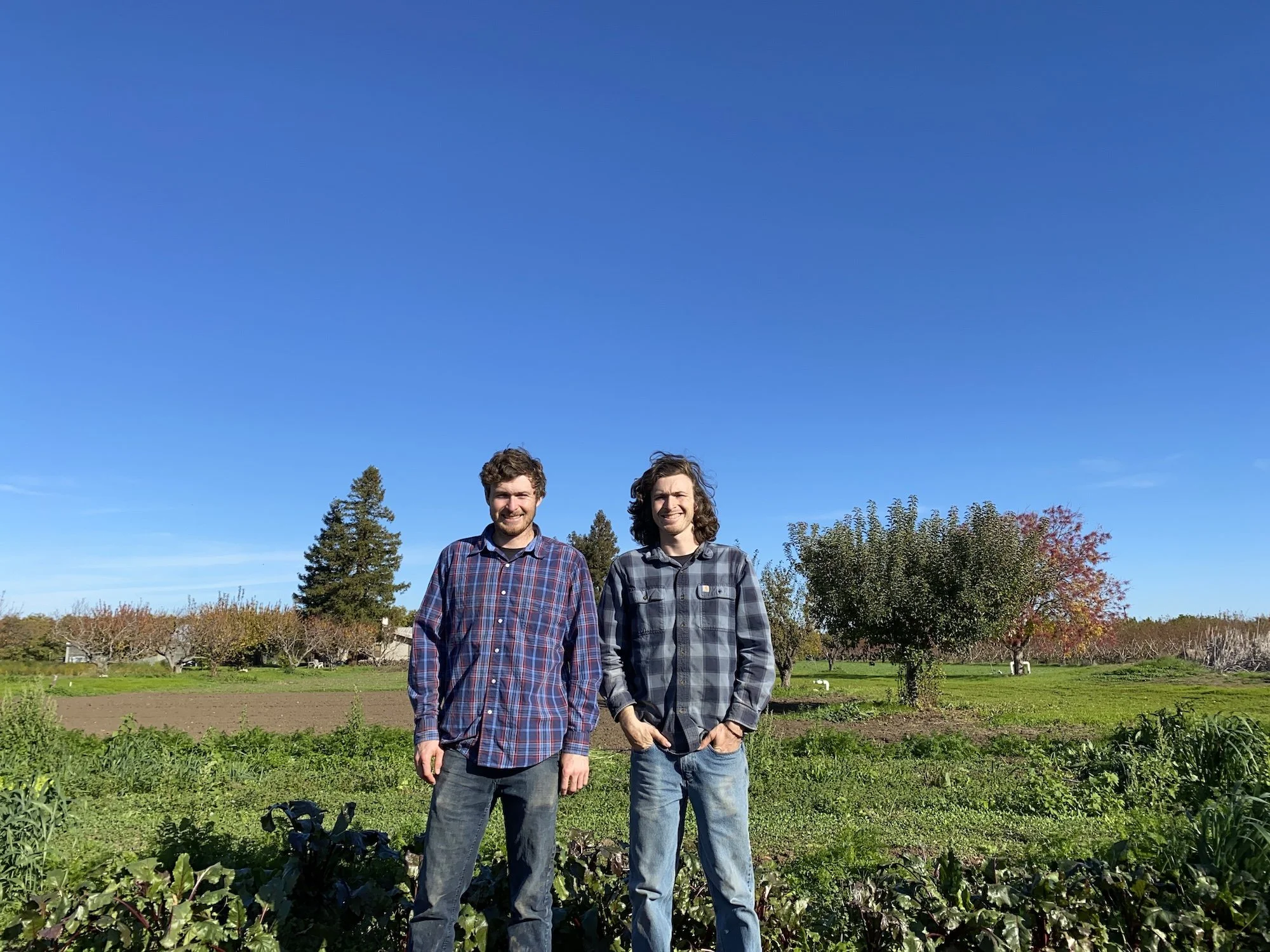 Farmboy Organics
